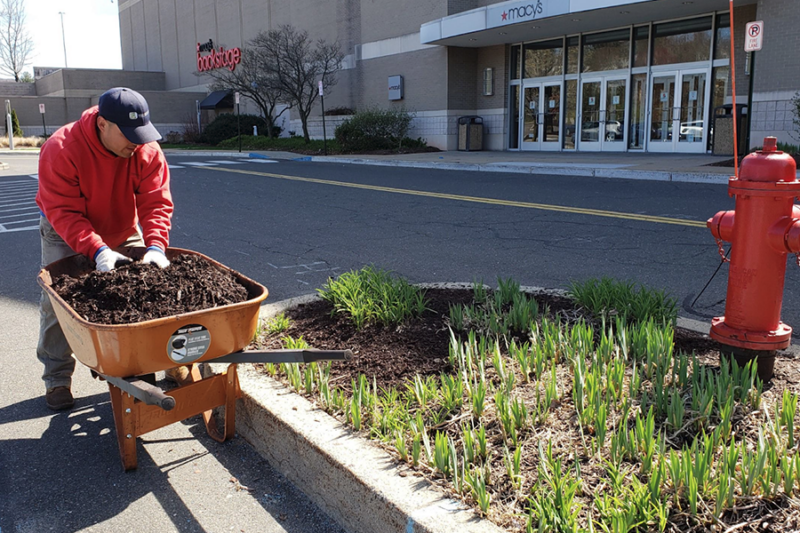 How Landscaping Can Guide Foot Traffic Effectively